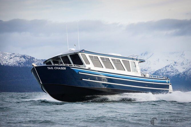 Hoonah Whale-Watching Cruise - Near Icy Strait Point - Why This Tour Delivers on Value