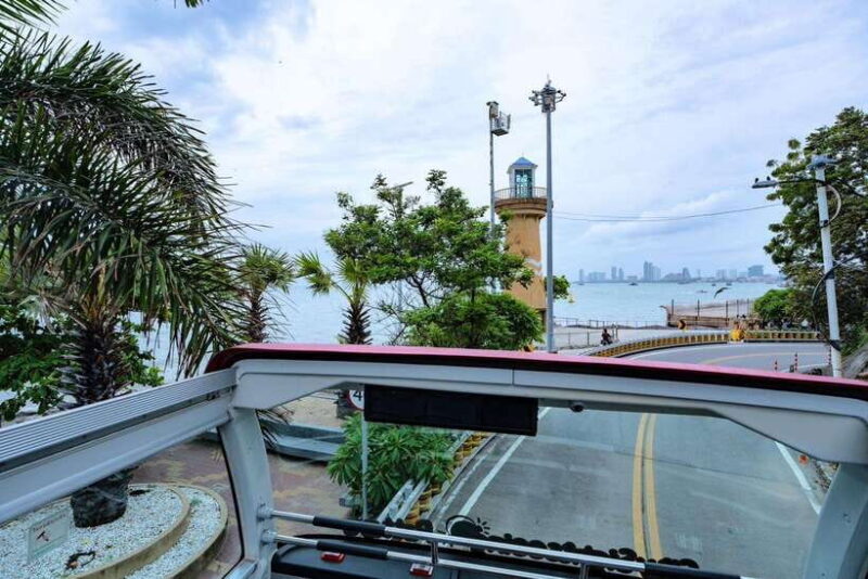 Hop-On Hop-Off Bus Tours and Nongnooch Pattaya Combo - Key Points