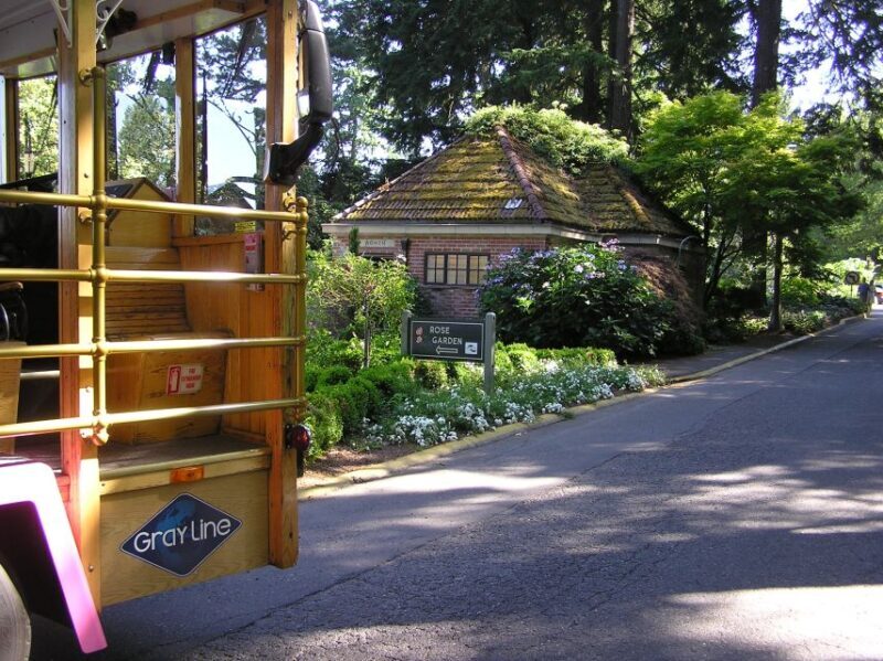 Hop-On Hop-Off Gray Line Pink Trolley Tour - 2 Day Ticket - Authentic Traveler Insights