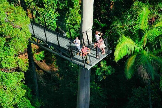 Hop on Hop off - Tamborine Rainforest Skywalk + Glow Worm Caves - Discovering Tamborine Mountain: An Overview