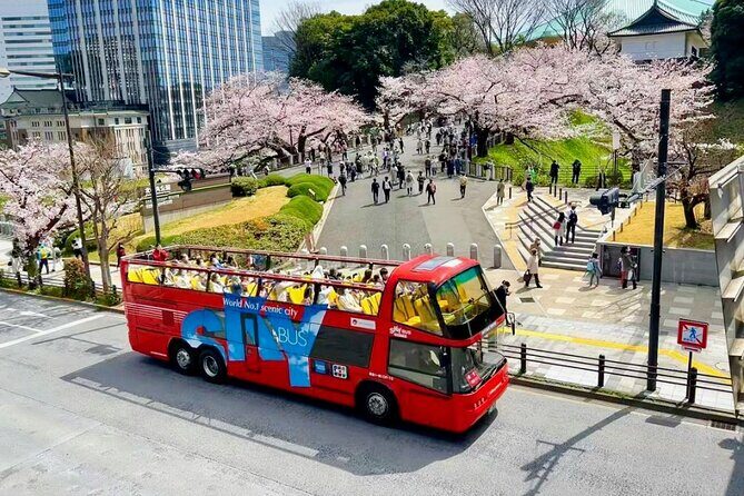Hop-On Hop-Off Tokyo Bus by Skyhop Bus - Key Points