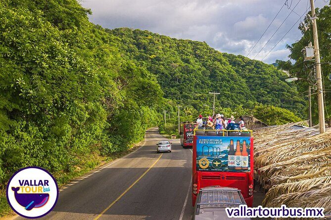 Hop On Hop Off Tour with Free Stops in Puerto Vallarta - Pricing and Value