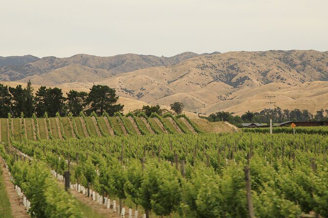Hop on Hop off Wine Tours Marlborough - FAQ