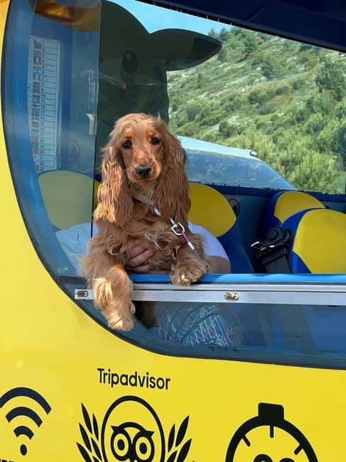 Hop-On Hop-Off Yellow Cabrio Tour: See Dubrovnik in 90mins - FAQs