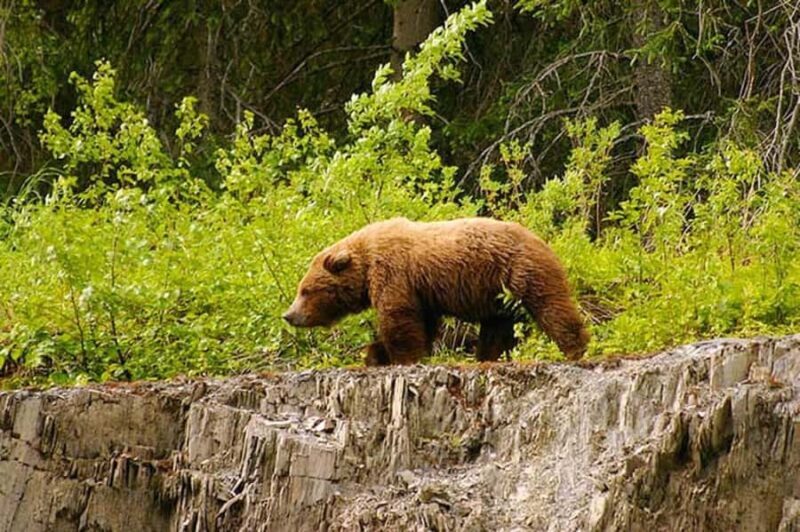 Hope: Turnagain Pass Scenic Float Trip - Key Points