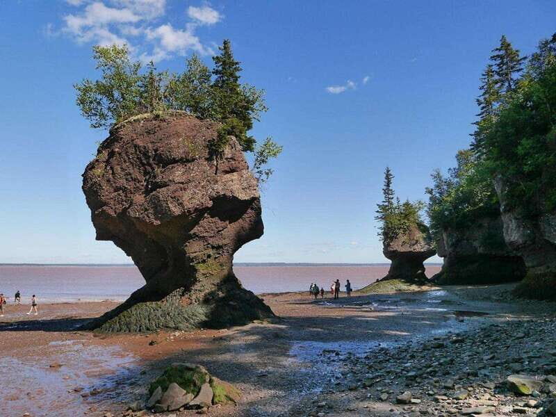 Hopewell Cape: Hopewell Rocks Admission - A Practical Look at Hopewell Rocks Admission