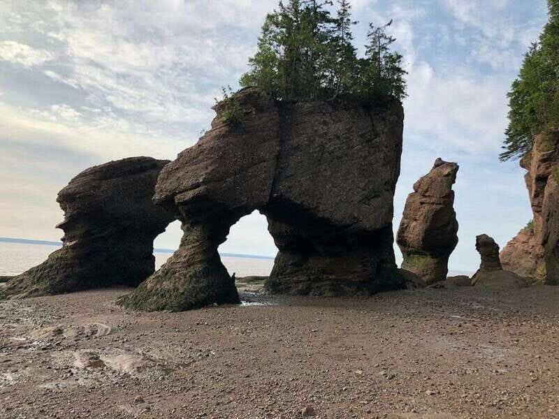 Hopewell Cape: Hopewell Rocks Admission - Practical Tips for Visitors