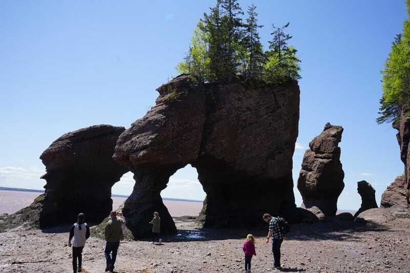 Hopewell Cape: Hopewell Rocks Admission - Who Will Love This Experience?