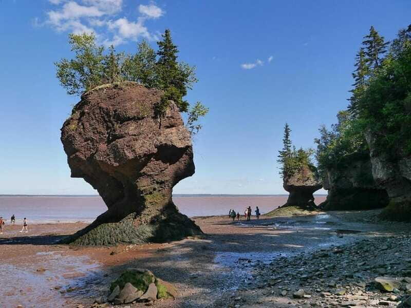 Hopewell Cape: Hopewell Rocks Admission - FAQ