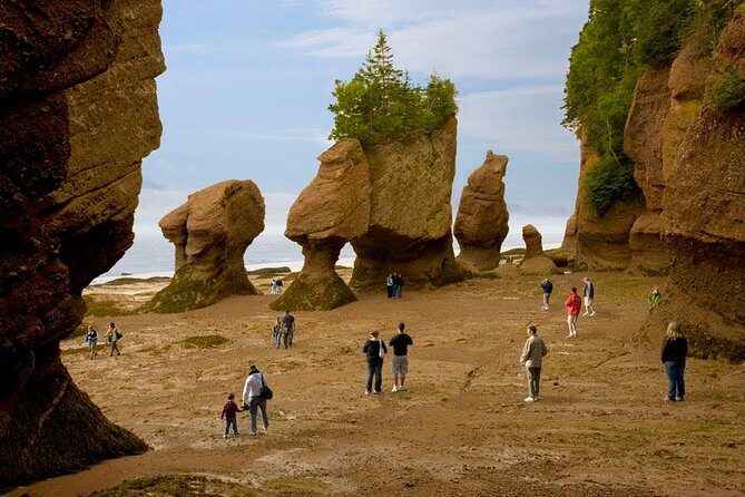 Hopewell Rocks Admission - Introduction: An Exciting Natural Attraction in New Brunswick