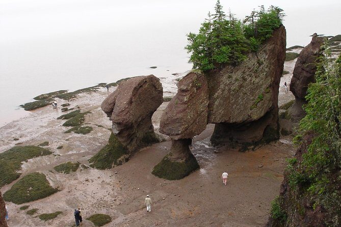 Hopewell Rocks Admission - Exploring Hopewell Rocks: Nature’s Sculpted Masterpiece