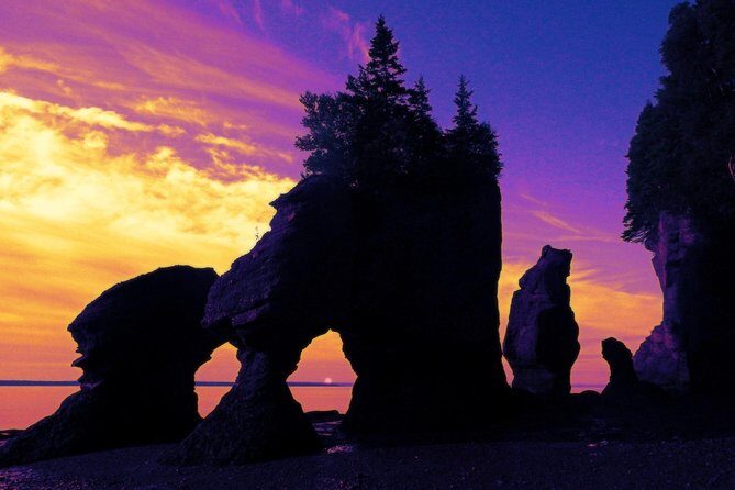 Hopewell Rocks Admission - Reviews and Real Experiences