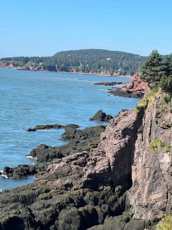 Hopewell Rocks and Fundy National Park Private Tour - Exploring Fundy National Park