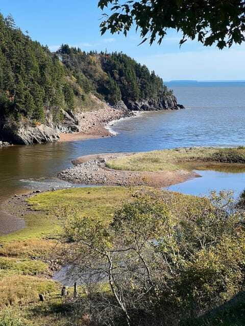 Hopewell Rocks and Fundy National Park Private Tour - Is This Tour Worth the Cost?