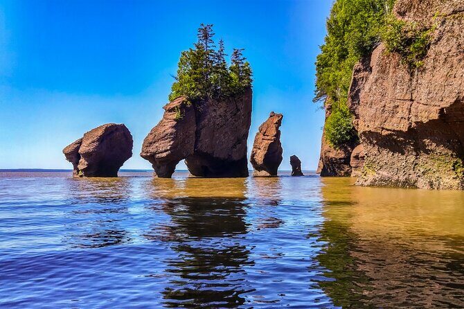Hopewell Rocks Bay of Fundy Tour - Key Points: