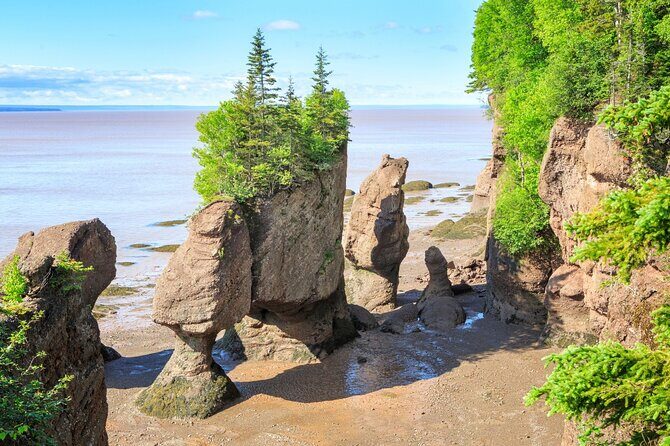 Hopewell Rocks Bay of Fundy Tour - An Intimate Journey Through Saint John and the Bay of Fundy