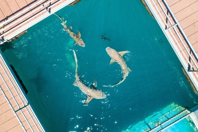 Horizontal Falls Helicopter, Boat and Lunch from Derby - Who Will Appreciate This Tour?
