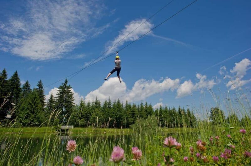 Hornpark - High Ropes Course - Final Thoughts: Is Hornpark Worth It?