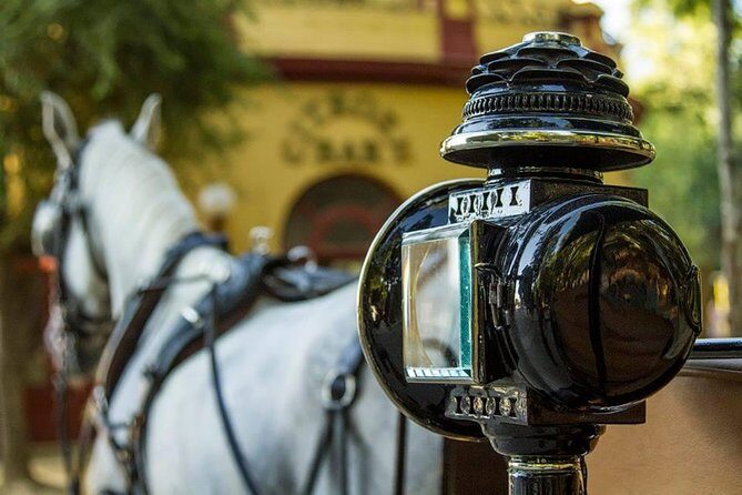 Horse and Buggy Ride in Seville with guide - What’s Included and What to Expect