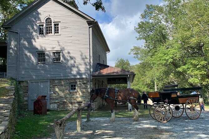 Horse and Carriage Ride through Moses H. Cone Park - An In-Depth Look at the Carriage Ride Experience