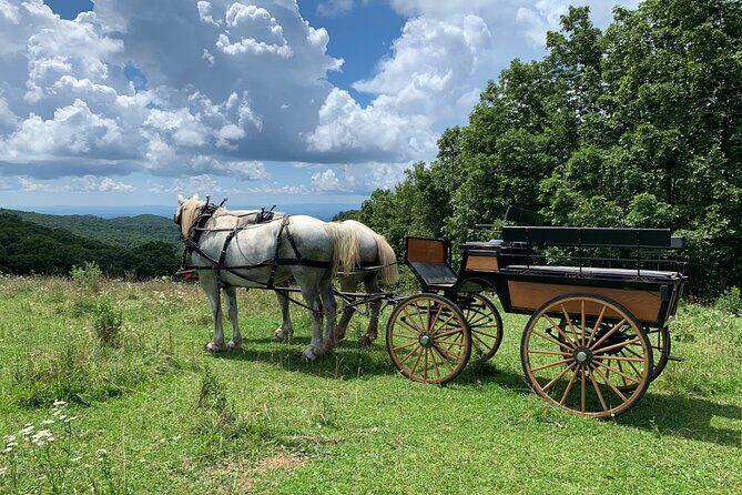 Horse and Carriage Ride through Moses H. Cone Park - Similar Experiences