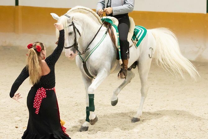 Horse and Flamenco Show in Malaga with Dinner - Who Will Enjoy This Tour?