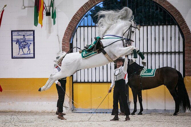 Horse and Flamenco Show in Malaga with Dinner - FAQ