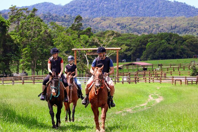Horse and Quad bike tour with a visit to a Petting Zoo - Key Points