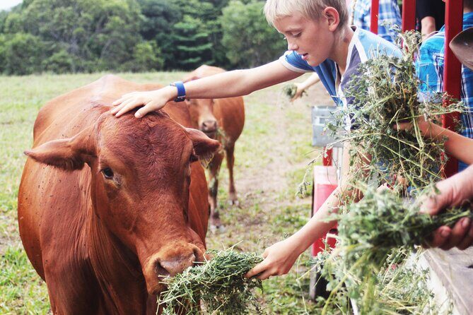 Horse and Quad bike tour with a visit to a Petting Zoo - FAQs