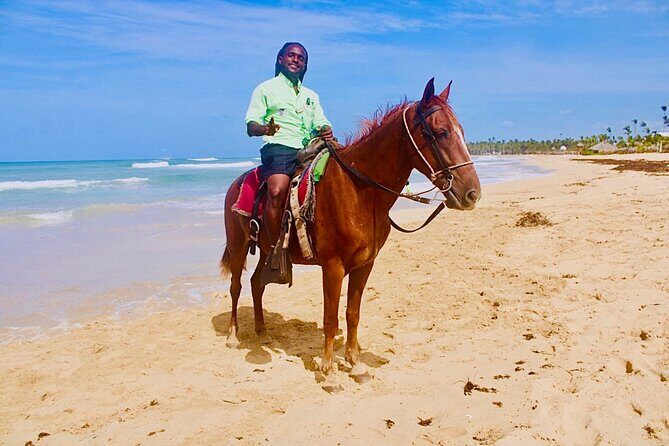 Horse Back Riding Adventure in Punta Cana - Authenticity and Review Insights