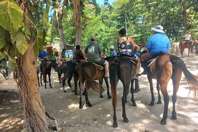 Horse Back Riding in Ocho Rios - Key Points
