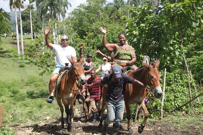 Horse back riding (Punta Cana/Bavaro) - What to Expect from the Tour