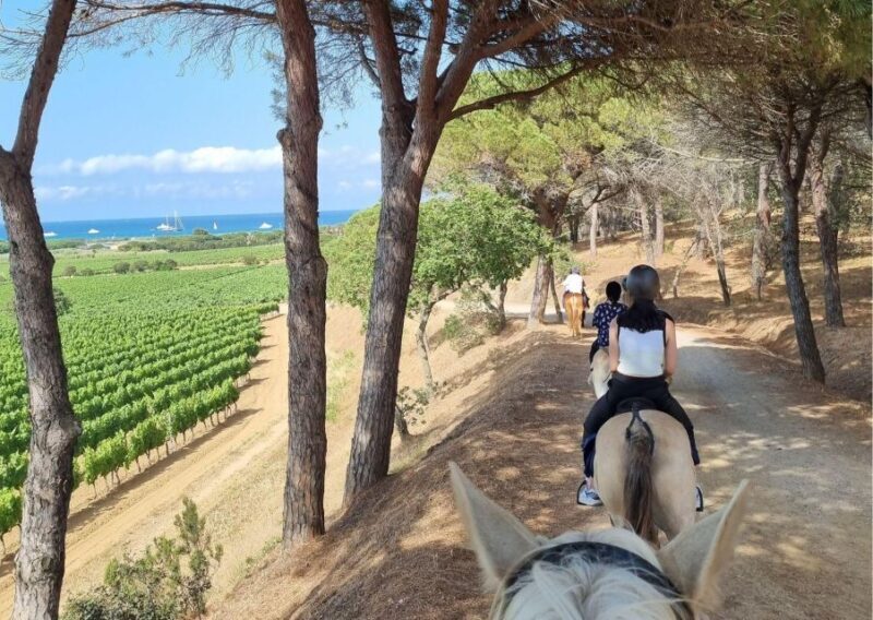 Horse back riding + wine tasting in Ramatuelle - An Introduction to the Experience