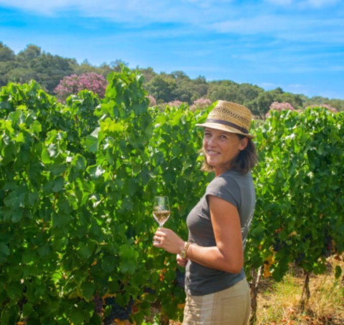 Horse back riding + wine tasting in Ramatuelle - What’s Included and What’s Not