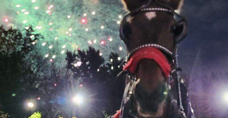 Horse Carriage Ride at Rockefeller Center & Times Square - Key Points
