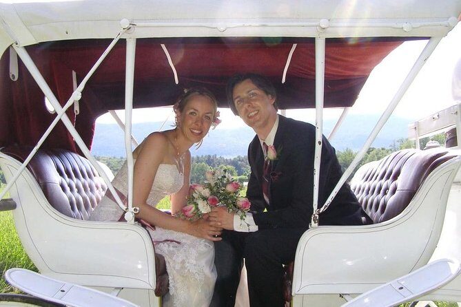 Horse Carriage Romantic Ride (VIP-Private) in Central Park 1964 - The Experience — What to Expect