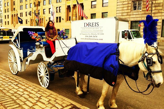 Horse Carriage Tour in New York City's Central Park Small Loop - A Closer Look at the Experience