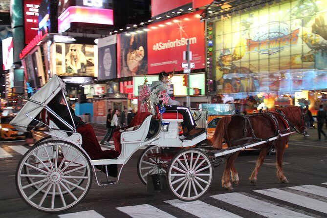 Horse Carriage Tour in New York City's Central Park Small Loop - Who Should Consider This Tour?