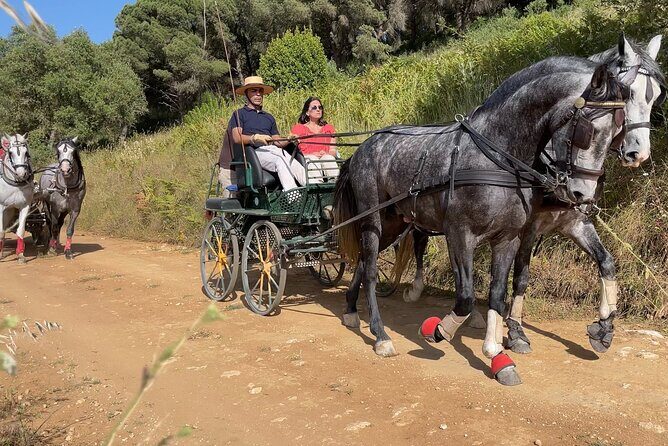 Horse Carriage Tour on the Mountain in Palmela - The Practical Details