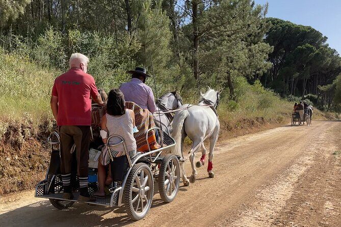 Horse Carriage Tour on the Mountain in Palmela - Final Thoughts