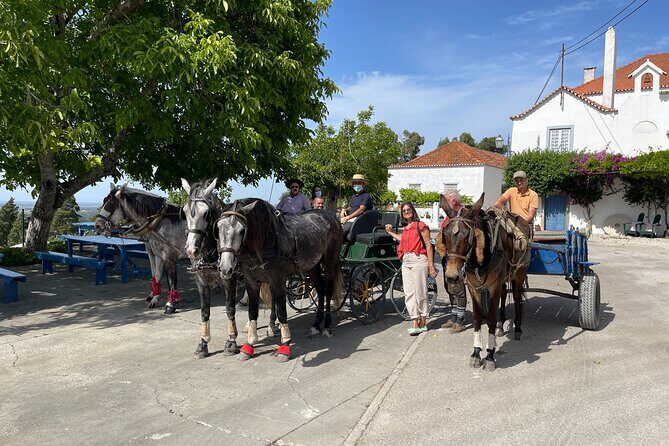 Horse Carriage Tour on the Mountain in Palmela - FAQs