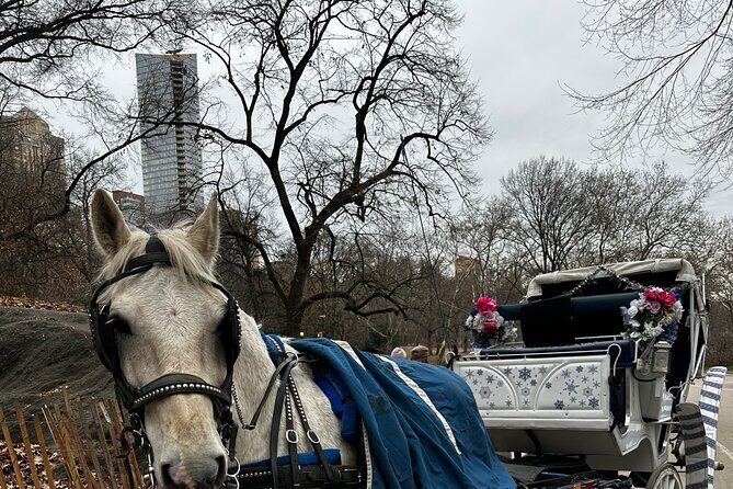 Horse Carriage Tour Through Central Park, NYC SINCE 1903 - Exploring Central Park on a Horse Carriage Tour: What You Need to Know
