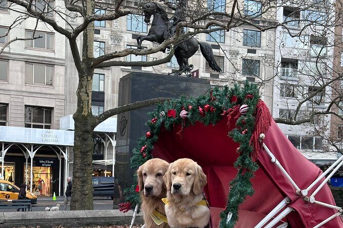 Horse Carriage Tour Through Central Park, NYC SINCE 1903 - The Experience in Detail