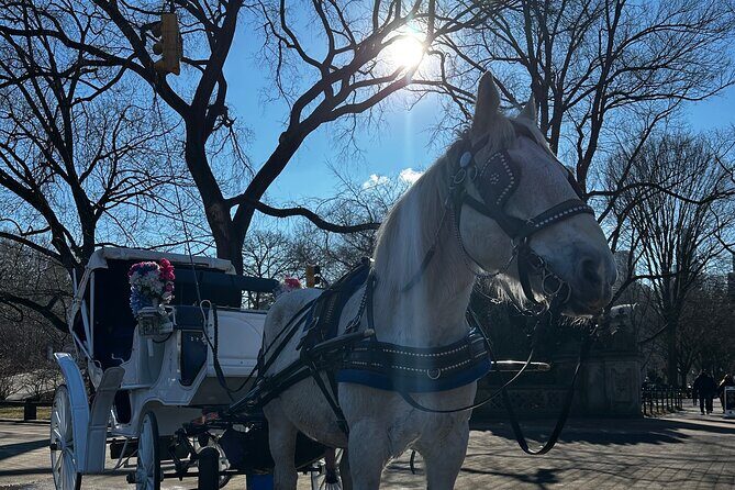 Horse Carriage Tour Through Central Park, NYC SINCE 1903 - The Practical Side: Pricing, Accessibility, and Booking