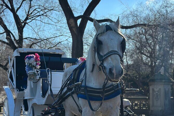 Horse Carriage Tour Through Central Park, NYC SINCE 1903 - FAQ