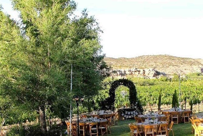 Horse Country Estate and Vineyard Wine Tasting Tour - The Grassroots Charm: Visiting a Private Equestrian Estate