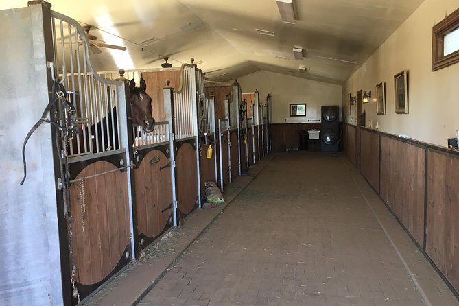 Horse Country Estate and Vineyard Wine Tasting Tour - Comfortable Transportation and Logistical Ease