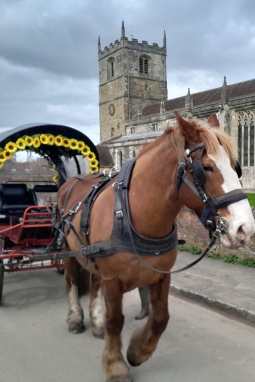 Horse drawn carriage ride and Picnic Hamper - An In-Depth Look at the Experience