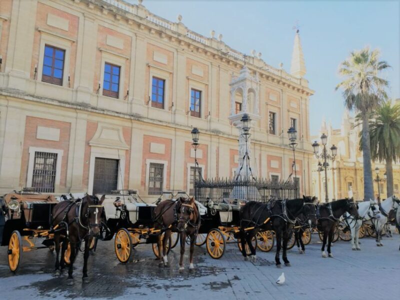 Horse-Drawn Carriage Ride Through Seville - Who Should Consider This Experience?