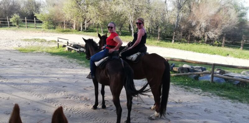 Horse-Drawn Carriage Route Through Doñana Park and The Villa - Itinerary Breakdown